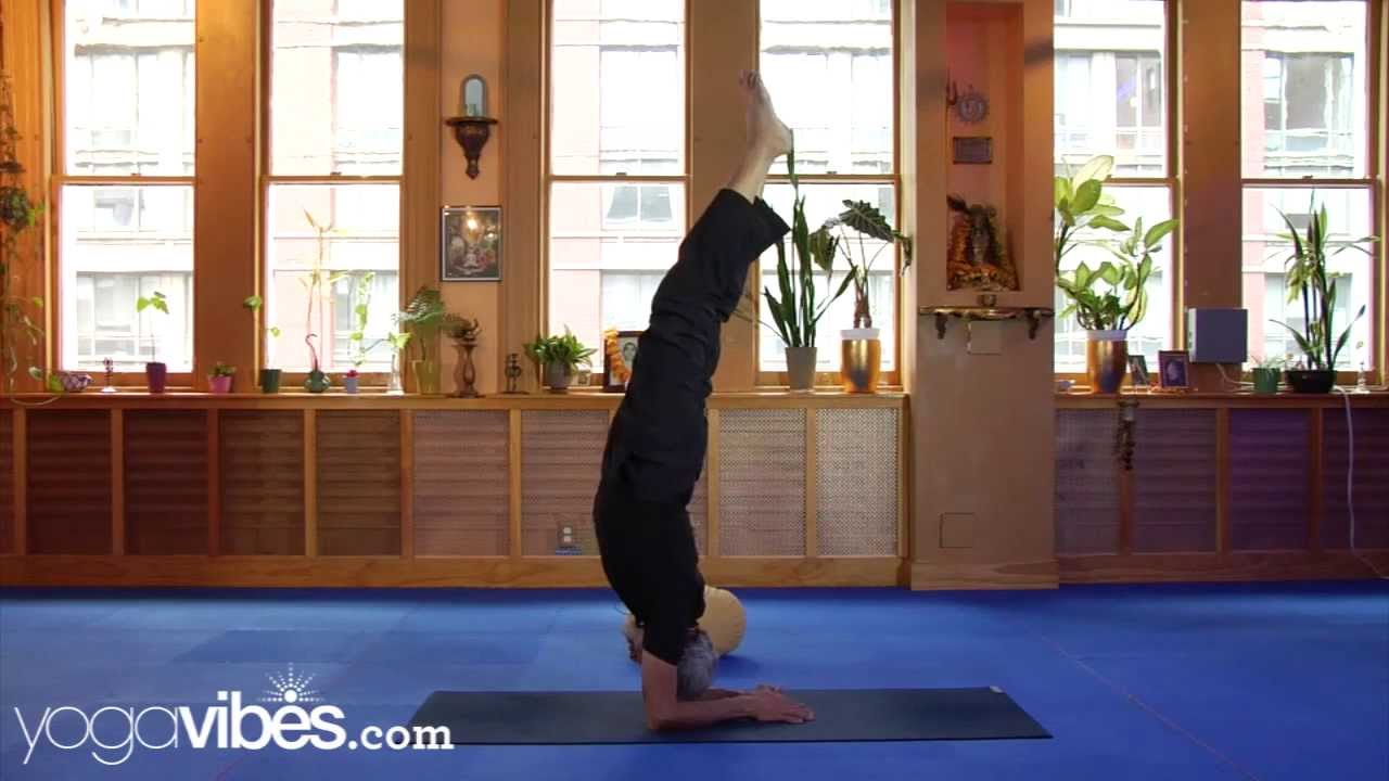 Yoga Tutorial: Forearm Balance | Sri Dharma Mittra | Dharma Yoga Center ...