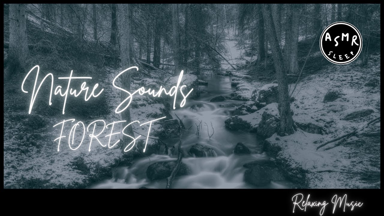 ASMR Sleep Nature Sounds Forest Sounds Sound of Water Relaxation ...