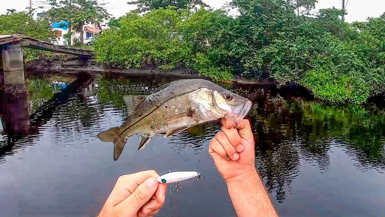 ESSE RIO TEM MUITO ROBALO | Pescaria no UltraLight - YouTube