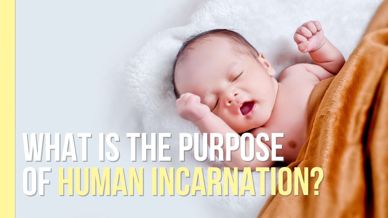 WHAT IS THE PURPOSE OF HUMAN INCARNATION? - YouTube