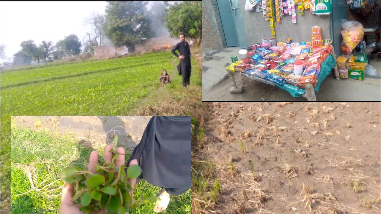 AJ ham Kethu Me Gai or wha par 😱# Dailyvlog # Sheeza Noor Vlog - YouTube