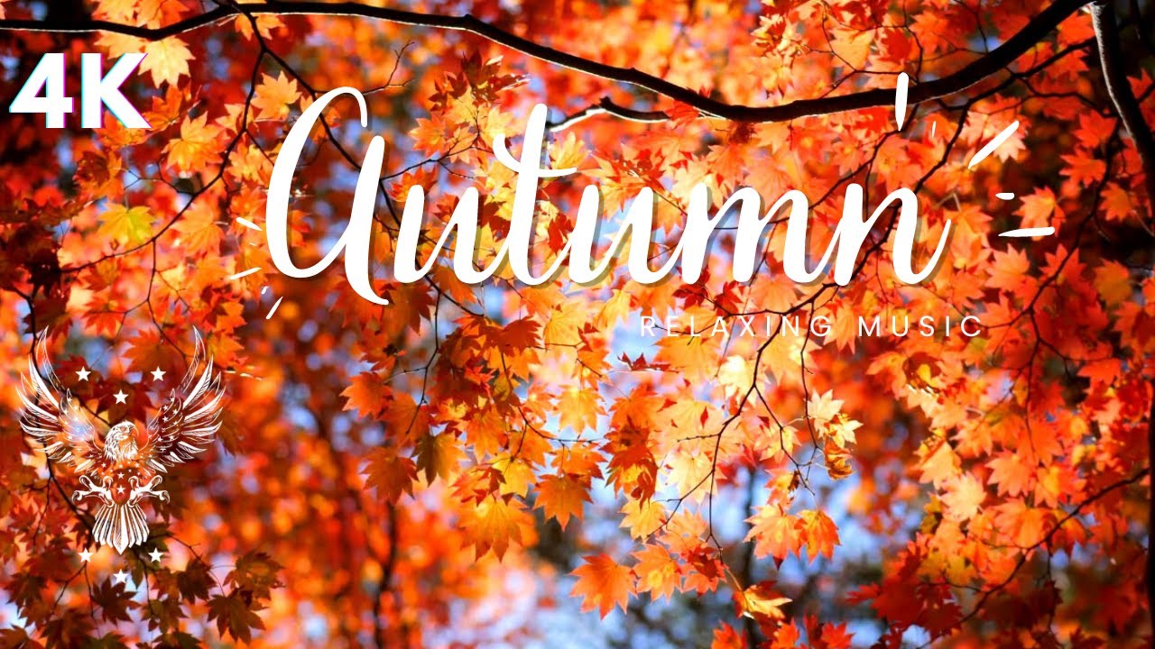 4K Autumn! Relaxing Music Along With Beautiful Nature Videos 4K Video ...