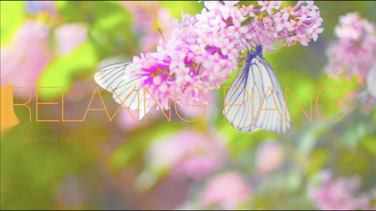 Piano Music ★ Relaxing Piano ★ Soft Piano Music ★ Meditation Piano ...