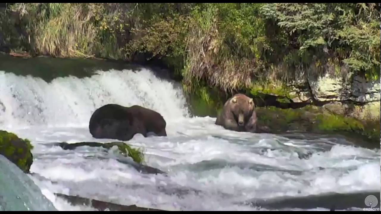 5;05pm 090116 747 challenges 480 Otis Katmai National Park and Explore ...