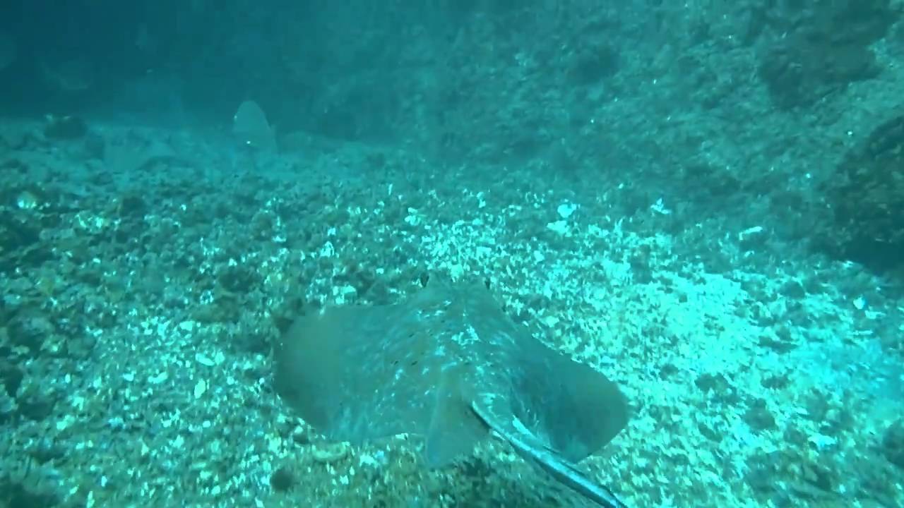 Approach to swim thru at Shag Rock.MP4 - YouTube