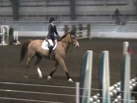 Natalie Liberman riding Ravel Du Beaumont, Child/Adult Jumper Classic ...