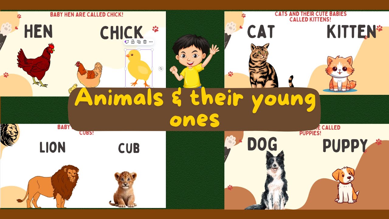 Learn Animals and their Young ones| Animals & their Babies |Animals ...