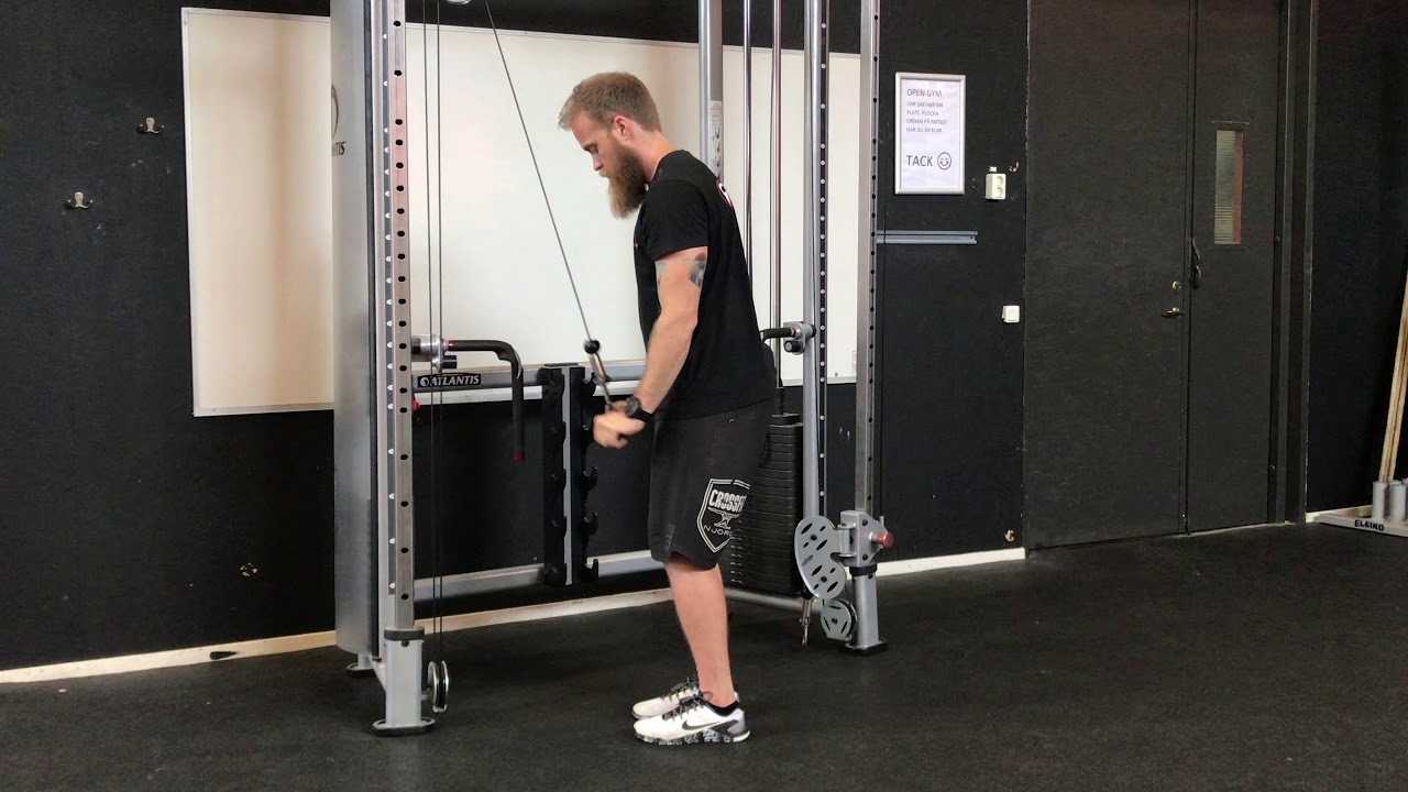 Standing Tricep Extension with Bar in Cable Machine - YouTube