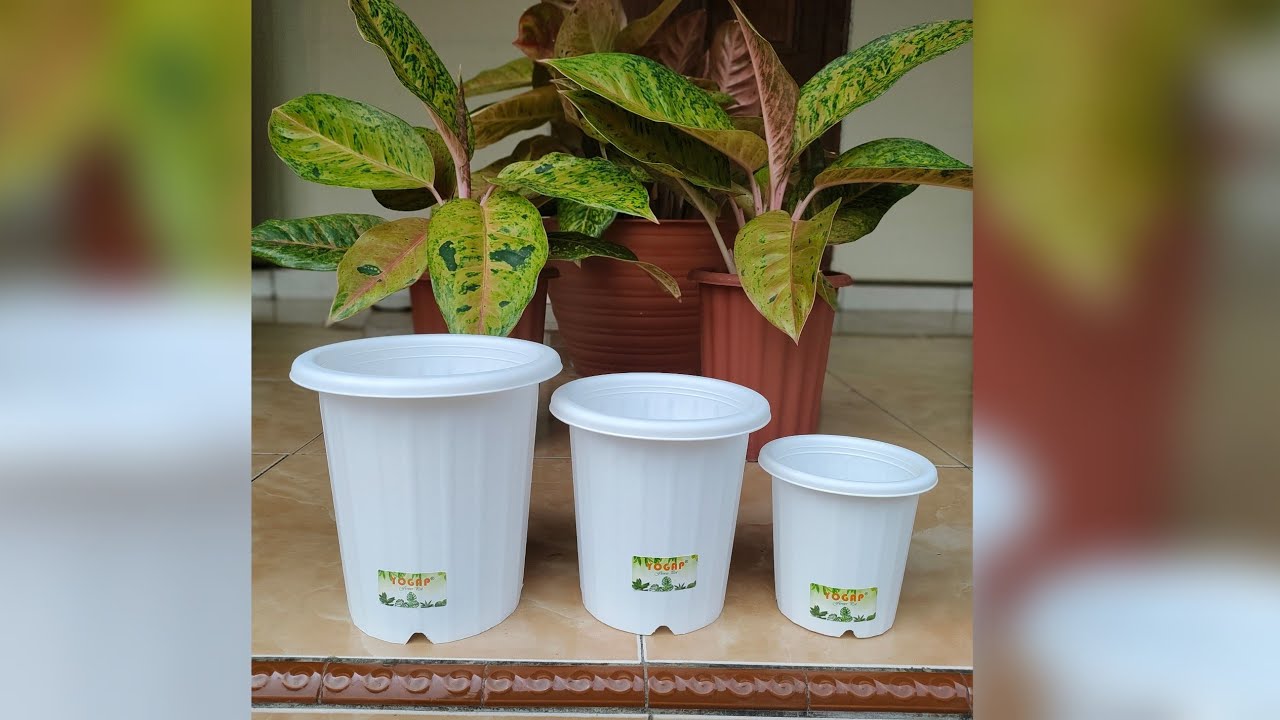 Review Berbagai Macam Model Pot Bunga Plastik Terlaris Harga Murah ...