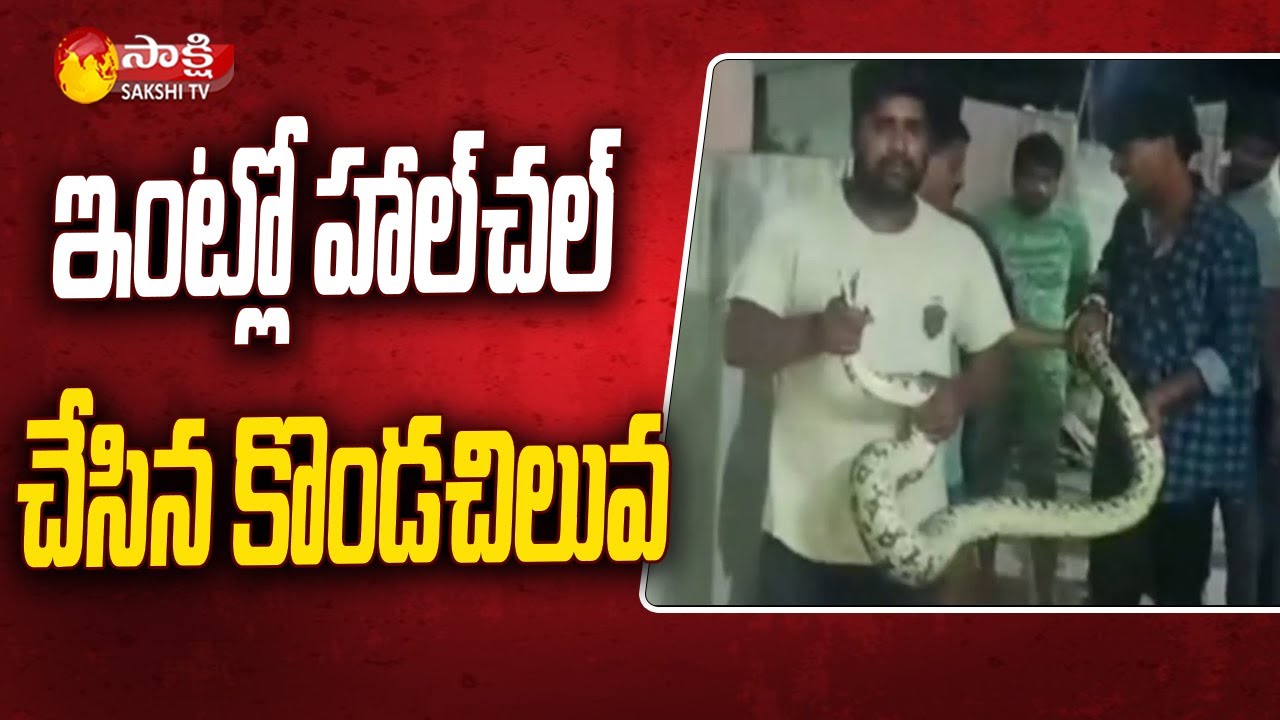ఇంట్లో హల్ చల్ చేసిన కొండచిలువ | 13 Foot Long Python Find in House ...