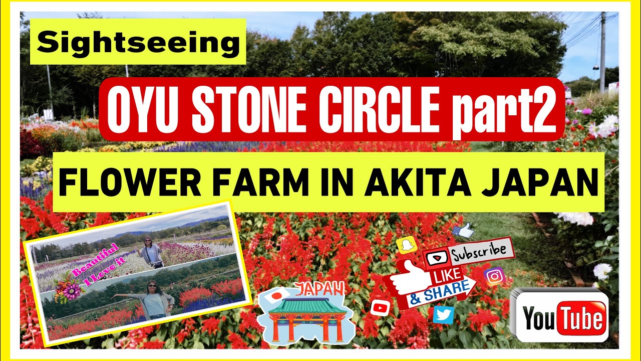 Quick Tour At Oyu Stone Circle In Akita Japan/Flower Farm At Oyu Stone ...