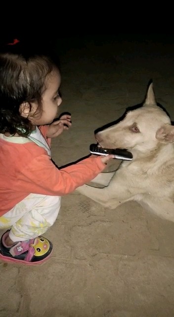 Nyra playing with dog!!!#shortsfeed #youtubeshorts #trending #funnykids ...