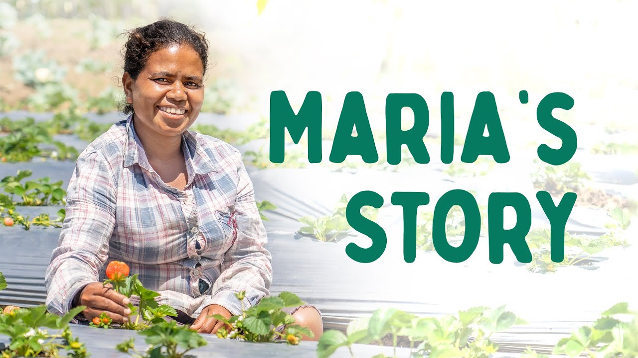 Maria's Story - Timor Leste - YouTube
