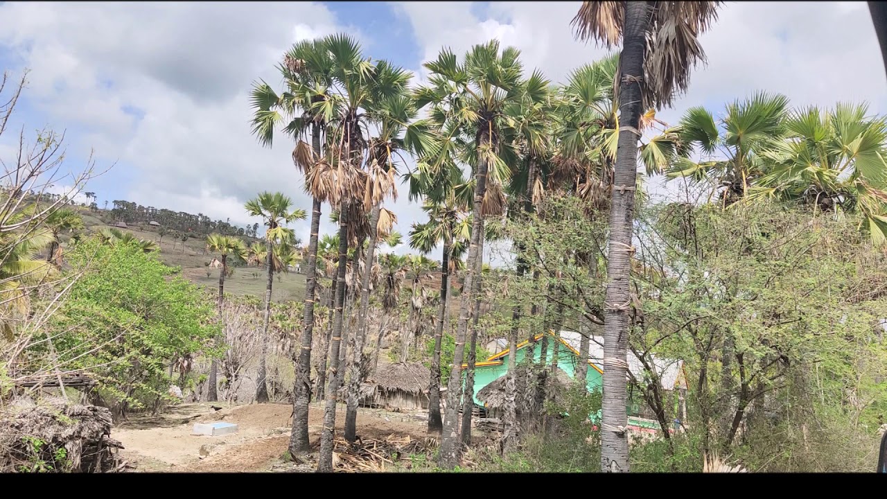 Adventure on Sawu Island - NTT - YouTube