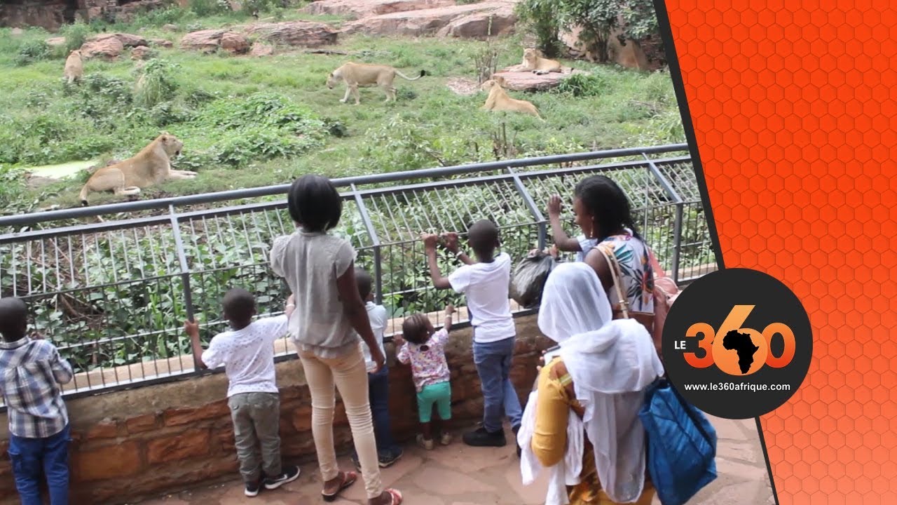 Le360.ma •A Bamako, le Zoo fait le bonheur des familles en vacances ...