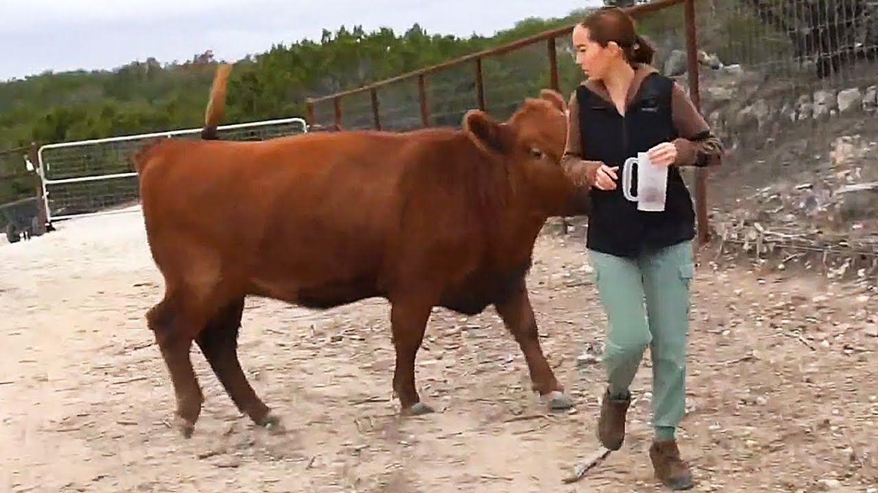 Maya gets CHASED DOWN by Winnie at Alveus - YouTube