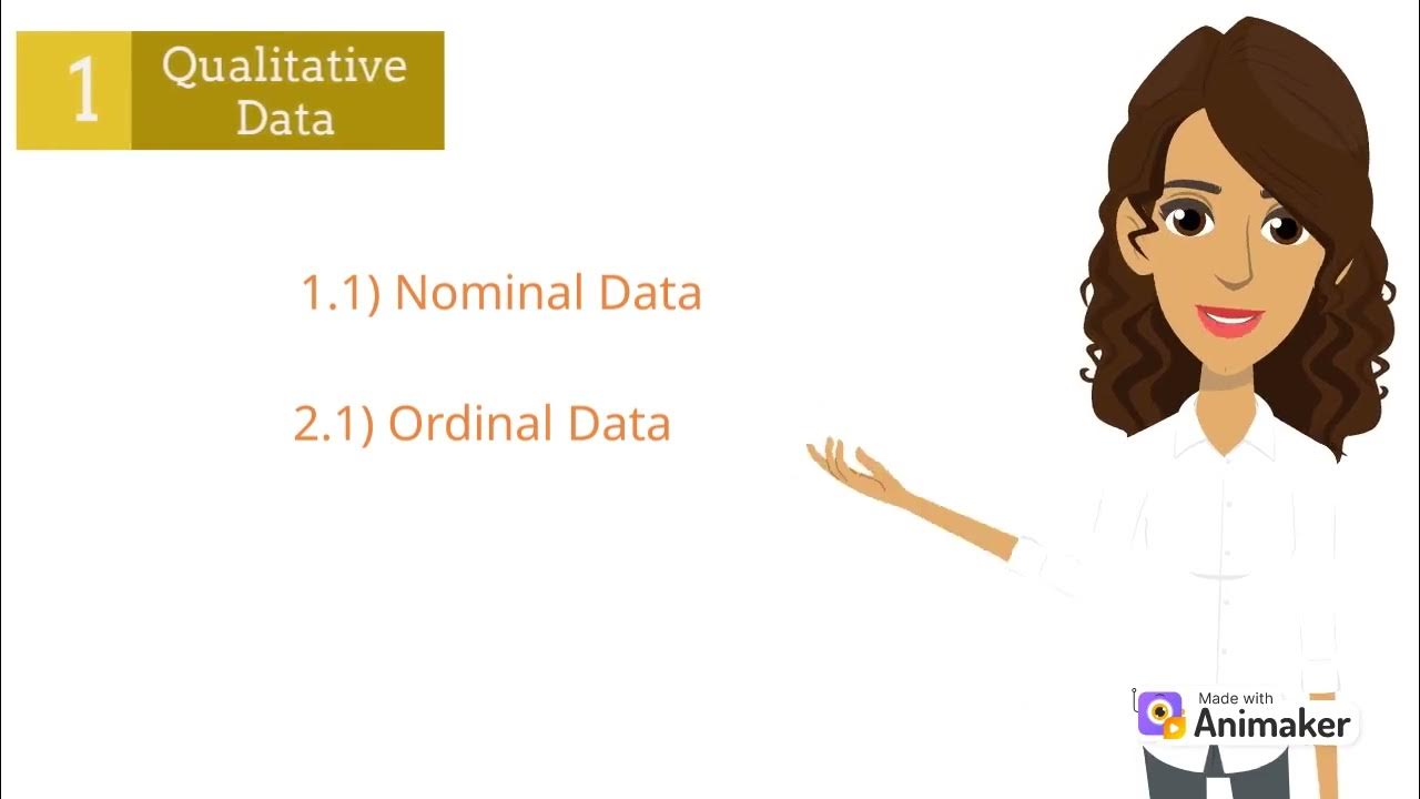 What are basic types of Data - YouTube