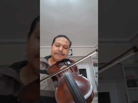 HÜSEYİN ÖKSÜZ- TURNALARIN GÖÇÜ