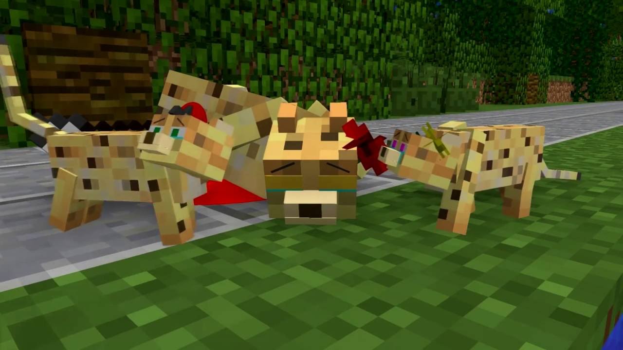 Minecraft Animation - Ocelot Life - Craftroll - YouTube
