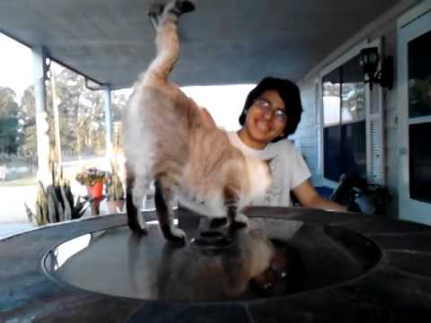 Laser fart