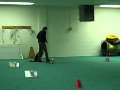 Steve rally novice course 11/7/10 - YouTube