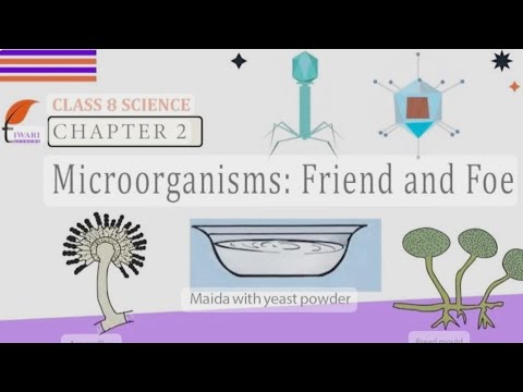 Microorganisms : Friend and Foe Class 8 Question and Answer | Class 8 ...