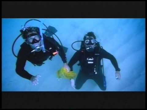 Ballys InnerTube Divers