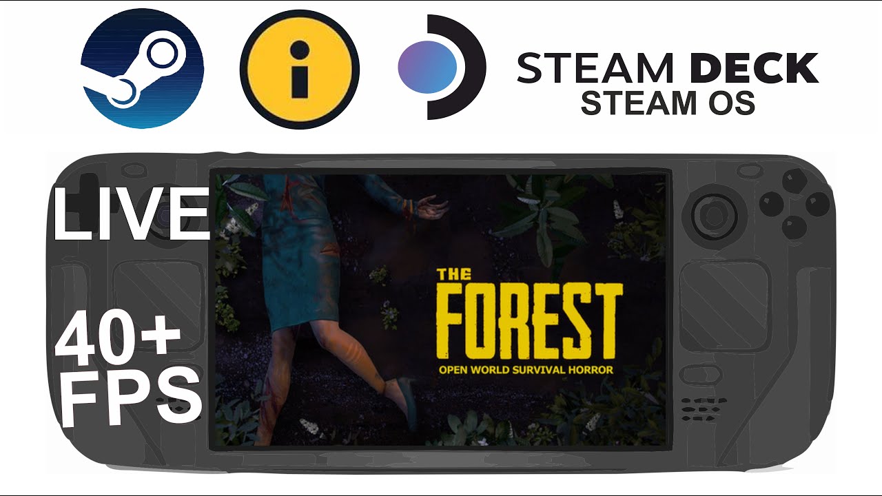The Forest on Steam Deck/OS in 800p 40-60Fps (Live) - YouTube