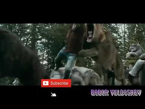 Сумерки & Океан Ельзи & La Calin Serhat Durmus,