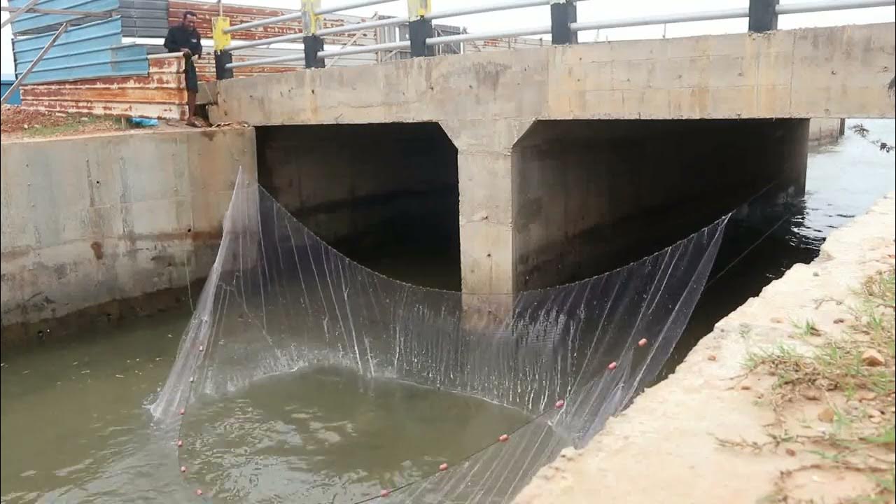 Pukat Angkat Ikan Belanak - YouTube