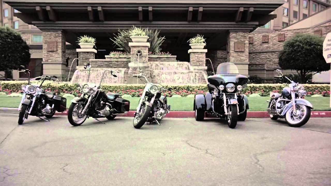 Redlight King - Born to Rise (Official Video) - YouTube