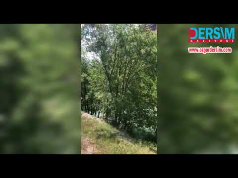 Engin'e çarpan otobüse ait görüntüler ortaya çıktı!