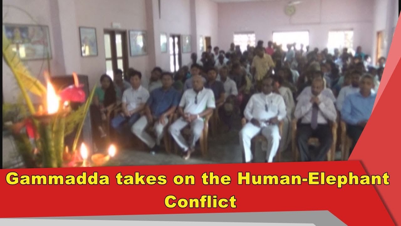 Gammadda takes a new step to help the people battling with Wild ...