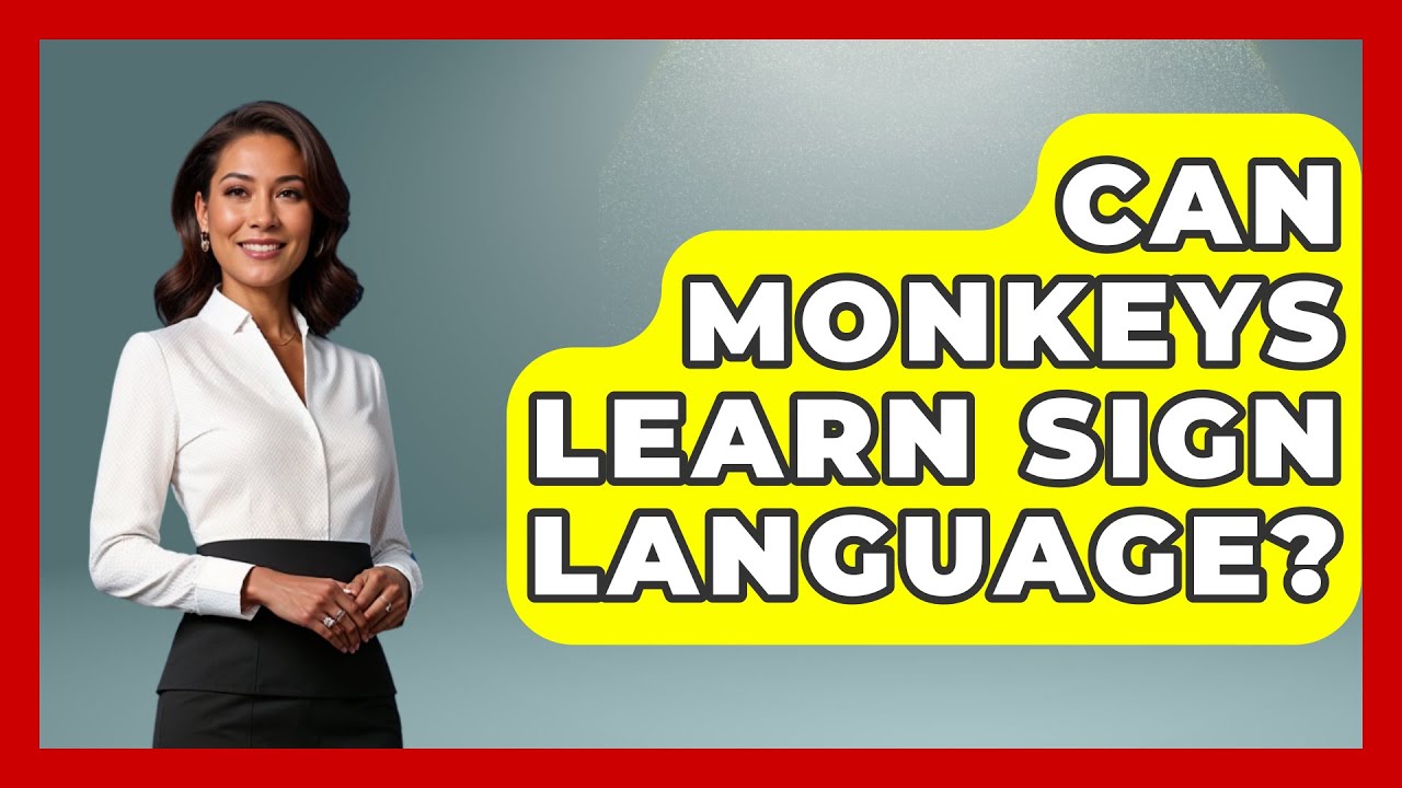 Can Monkeys Learn Sign Language? - The Language Library - YouTube