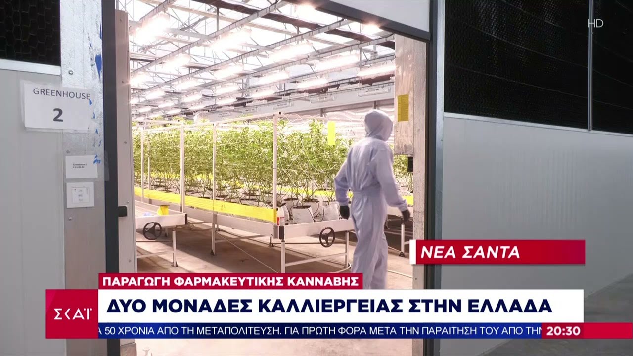 Η συνταγογράφηση ιατρικής κάνναβης ξεκίνησε και στην Ελλάδα – Δύο οι ...