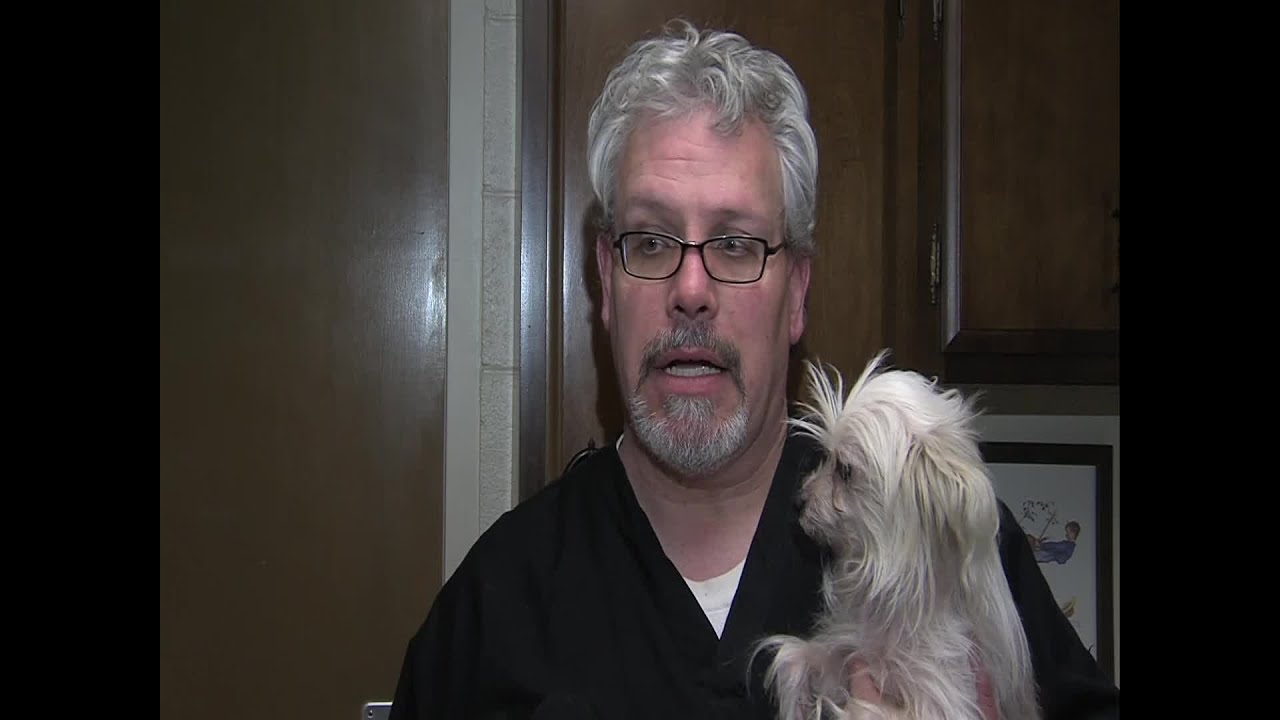 Full interview with Greg Reilly - YouTube