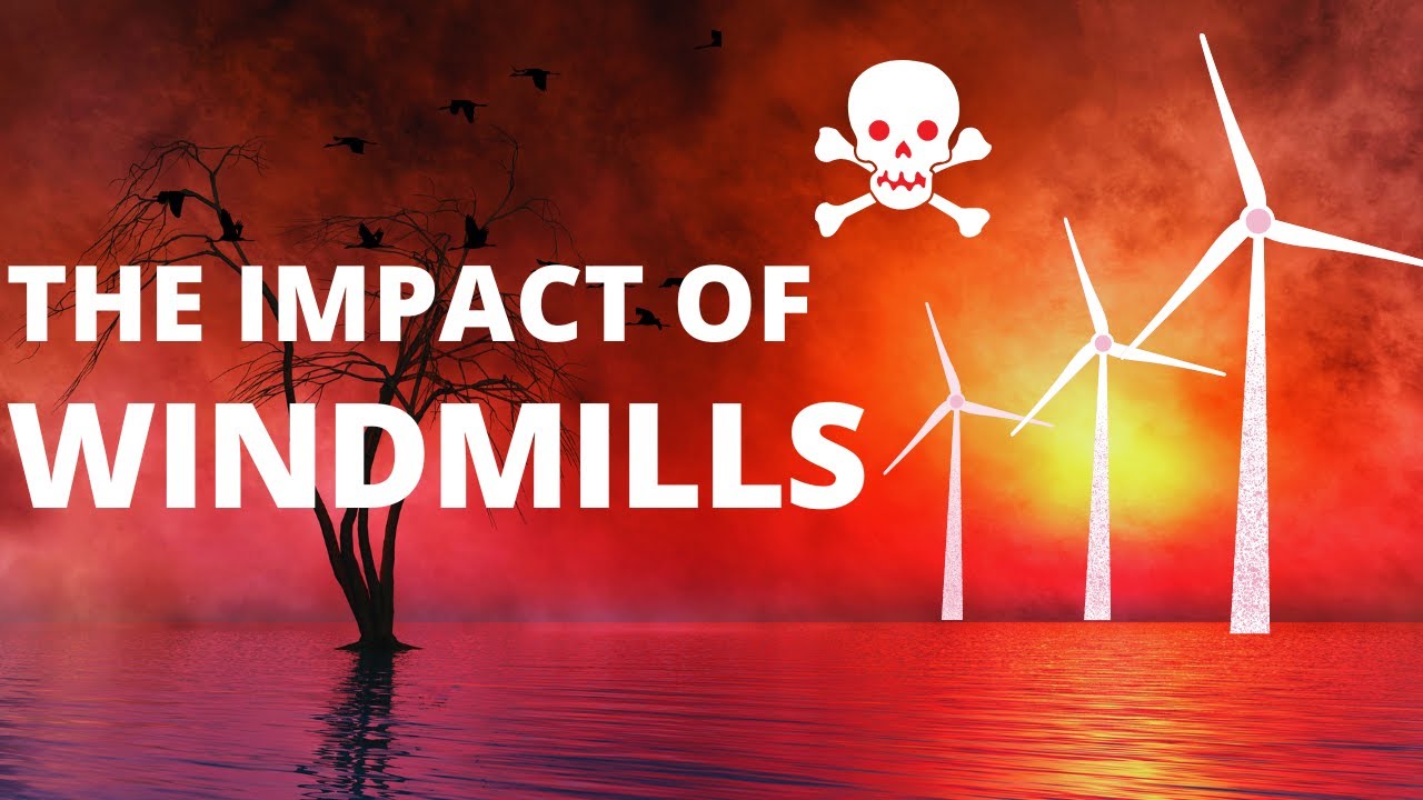 Why Current Windmills Can Be Deadly For Our Planet - YouTube