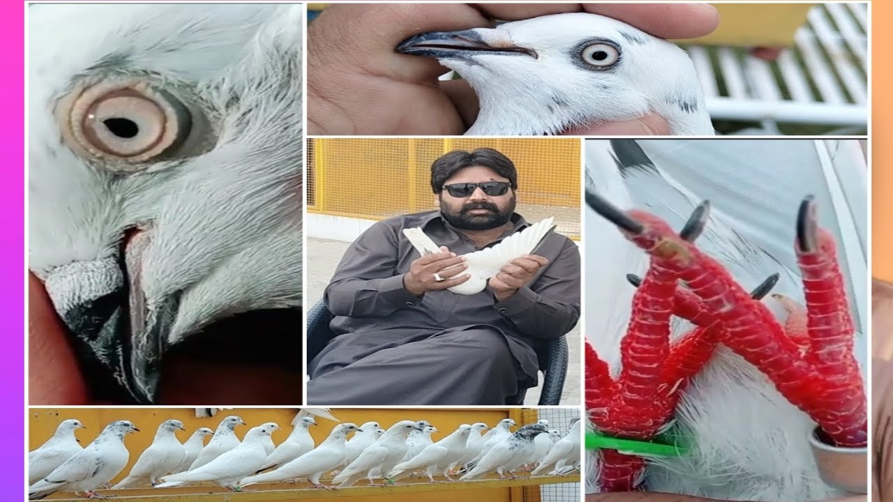 New video 2024 ♥️🕊️ - YouTube