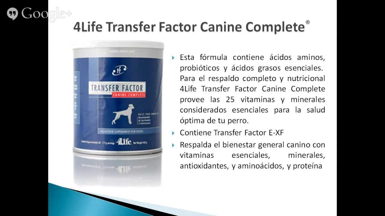 Factores de Transferencia 4Life para Animales - YouTube
