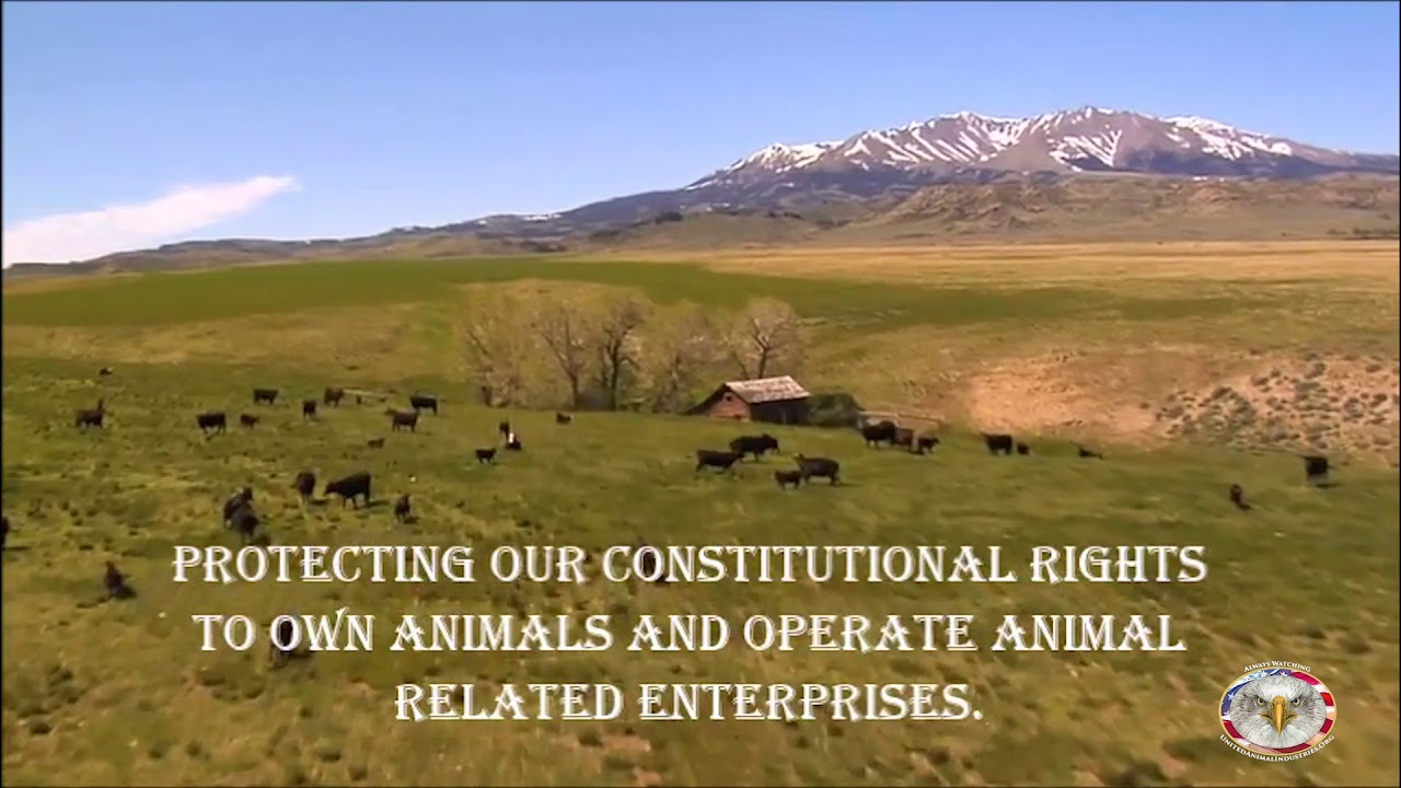Protecting Our Rights to Own and Operate - YouTube