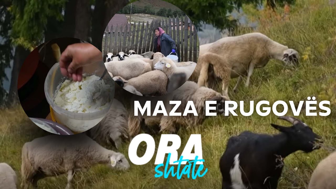 Maza e Rugovës - YouTube
