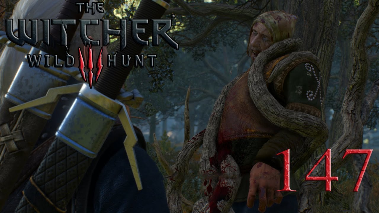 Der Waldgeist - The Witcher 3 Wild Hunt #147 - YouTube