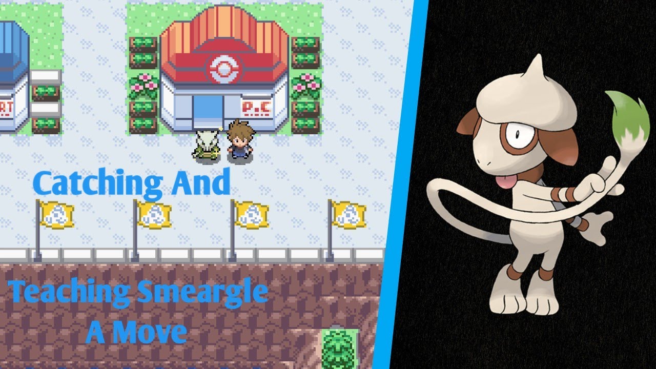 How to Catch and teach smeargle a Move - YouTube