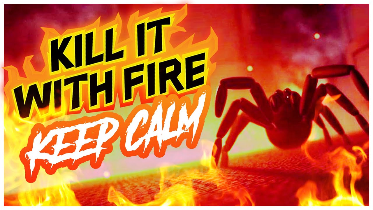I FREAKIN' HATE SPIDERS!! | Kill it With Fire - YouTube