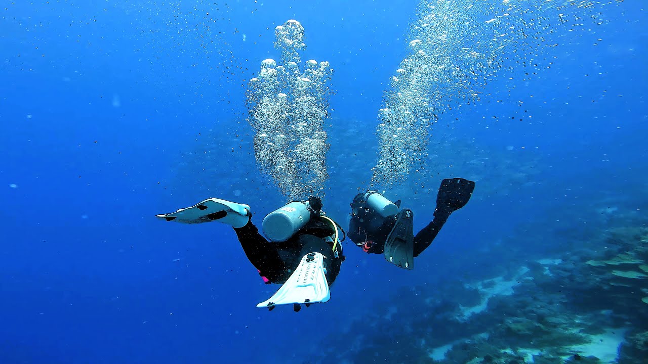 Dive Into Paradise: Underwater Wonders of Seychelles, Maldives ...