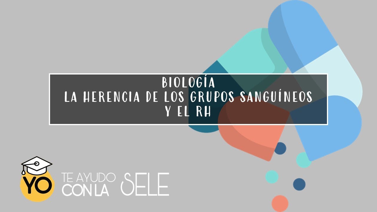 La herencia de los grupos sanguíneos y el Rh | Natalia Castejón ...