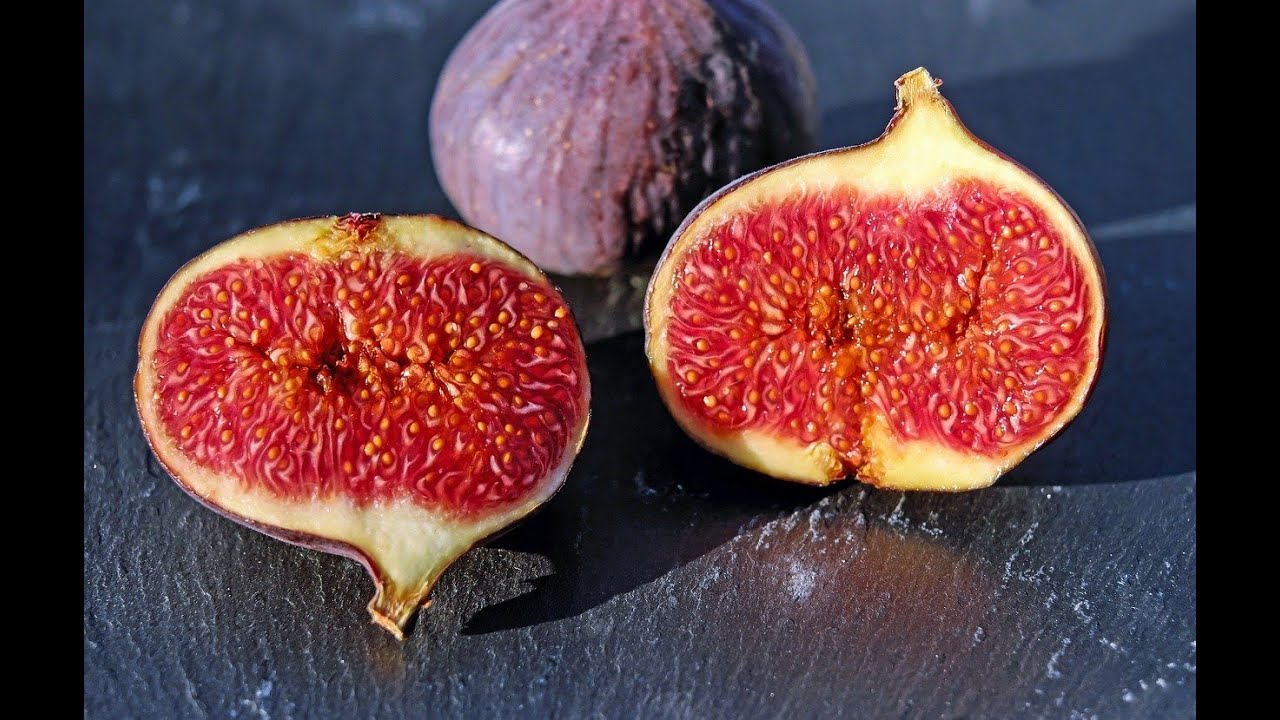 Fig Tree: 'San Pedro' Variety - YouTube