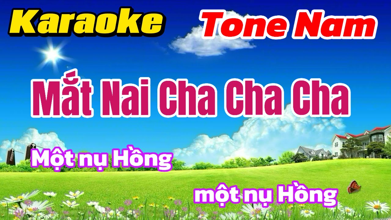 Karaoke Mắt Nai Cha Cha Cha Tone Nam #bienhoaam nhạc sống dễ hát - YouTube