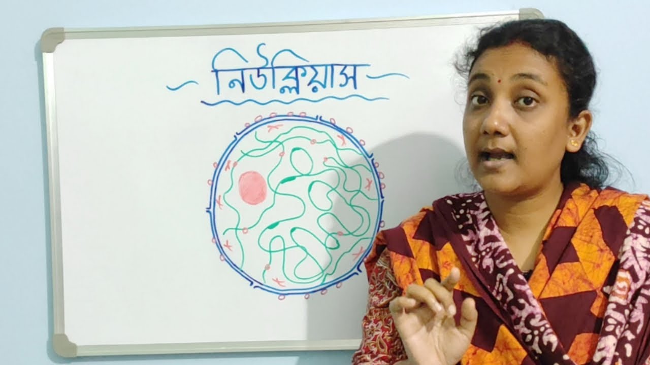 Nucleus | Nucleus Details Discussion | Nucleus Explanation Class 9 and ...