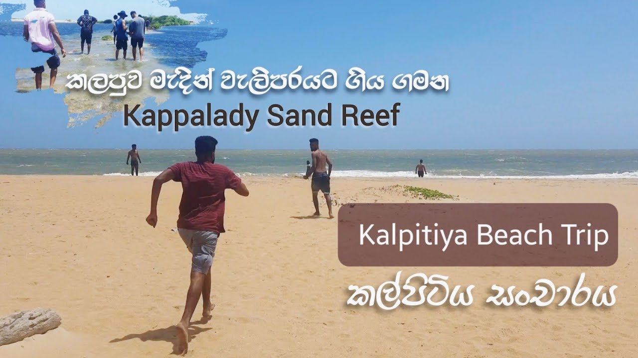 Kalpitiya Trip | Kappalady Sand Reef |කල්පිටිය සංචාරය - YouTube